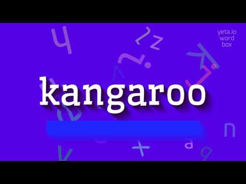 How to say "kangaroo"! (High Quality Voices)