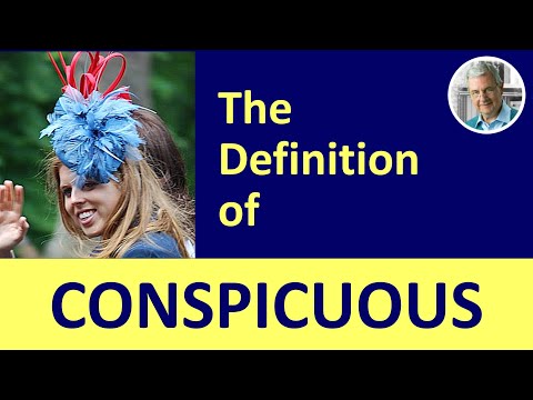 The Definition of CONSPICUOUS (3 Illustrated Examples)