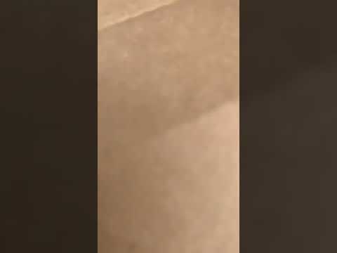 Useless videos #45: What’s inside a Starbucks Coffee Traveler?