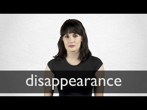 DISAPPEARANCE - Learn the Meaning, Synonyms & Translations | Collins ...