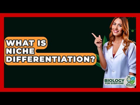 What Is Niche Differentiation? - Biology For Everyone