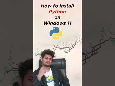 How to install Python 3.11.3 on Windows 11 | The Right Way To Install Python 3.11.3 | Techee Banda