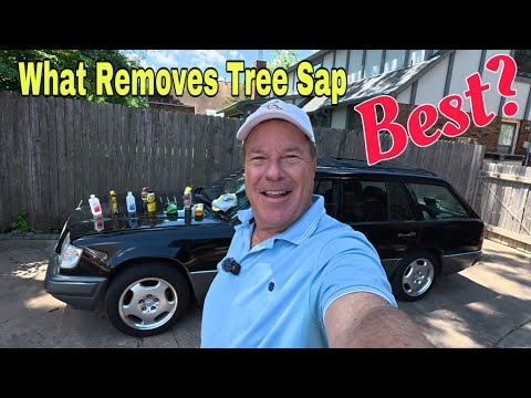 8 Products Tested. Which Works Best On Tree Sap!