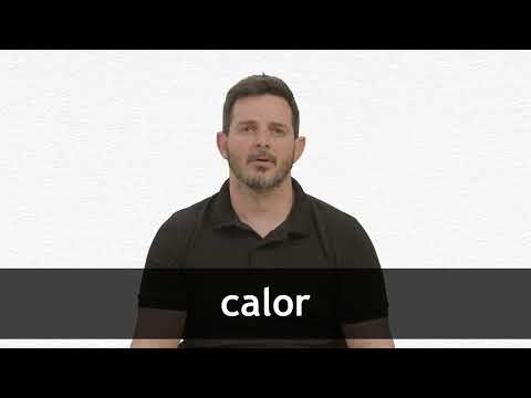 English Translation of “CALOR” | Collins Spanish-English Dictionary