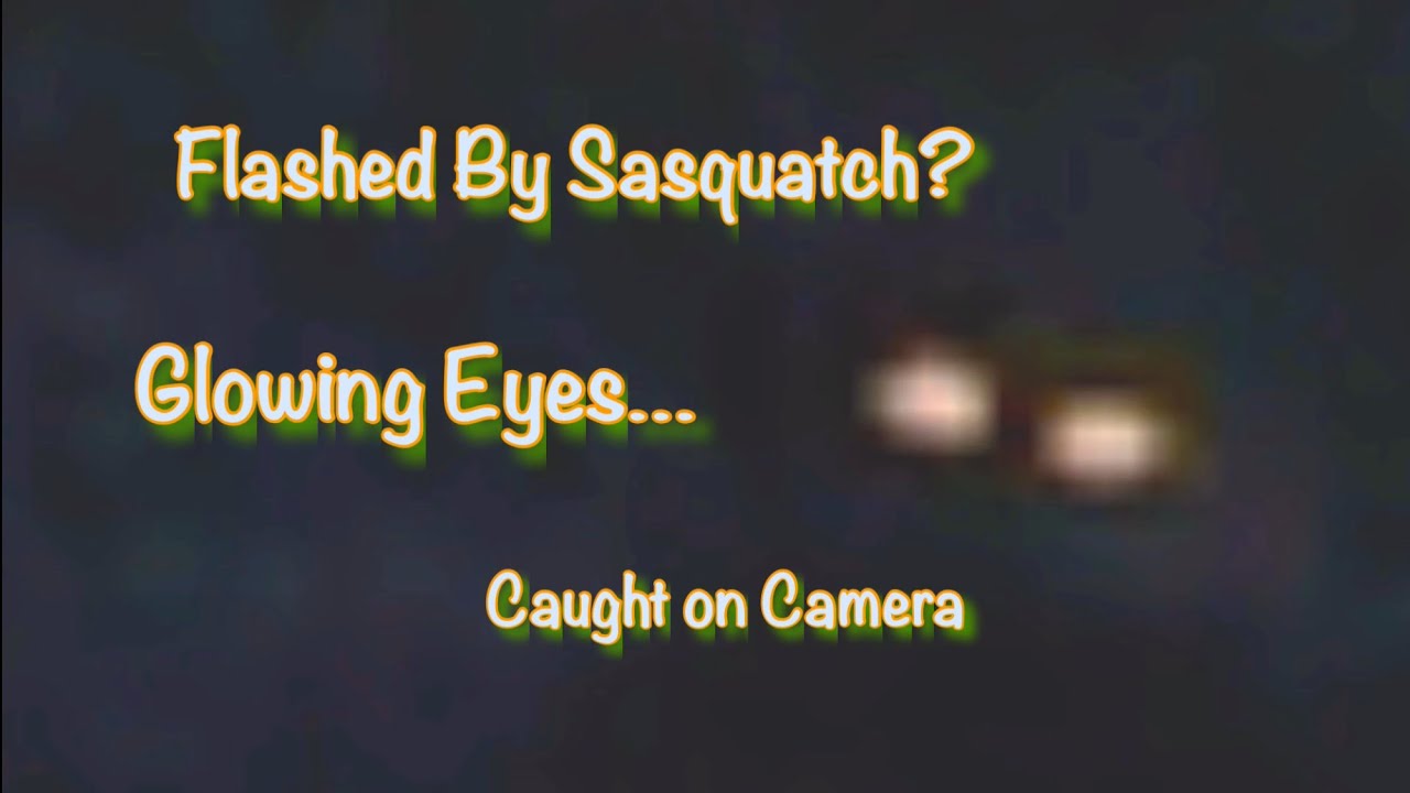 Flashed By Sasquatch? Glowing Eyes… Caught on Camera