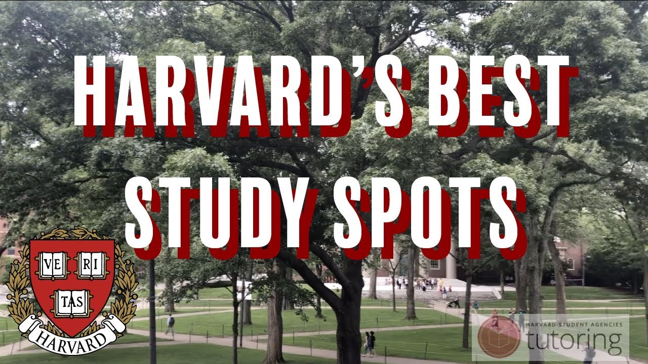 Harvard's Best Study Spots | HSA Tutoring