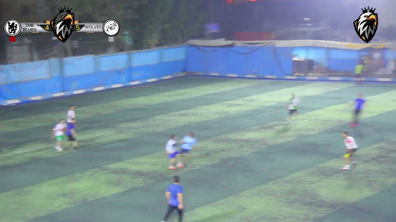دورى مصر للهواه