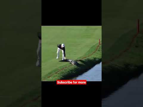 Respectable video #6 | #shorts #respect #amazingshorts #crazyshorts #funnyshorts #mixshorts