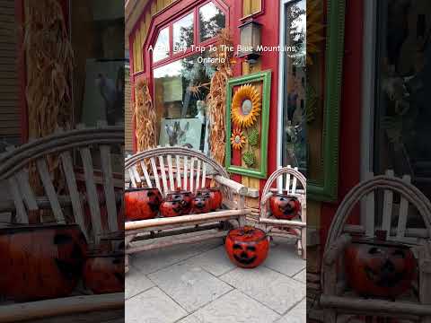 Fall Activities Near Toronto 2024 | Blue Mountains, Ontario ππ #travel #ontariotravels