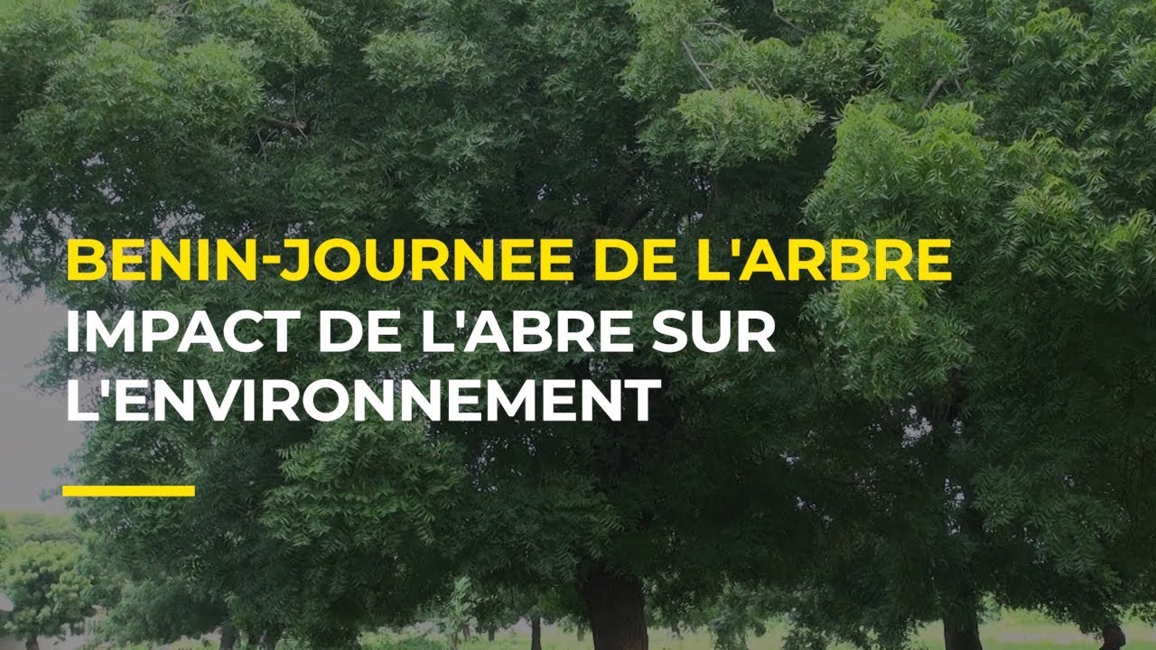 BENIN-1er JUIN JOURNEE DE L' ARBRE