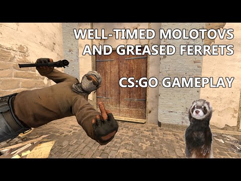 Steam Community :: Video :: WELL TIMED MOLOTOVS AND GREASED FERRETS - CS:GO GAMEPLAY
