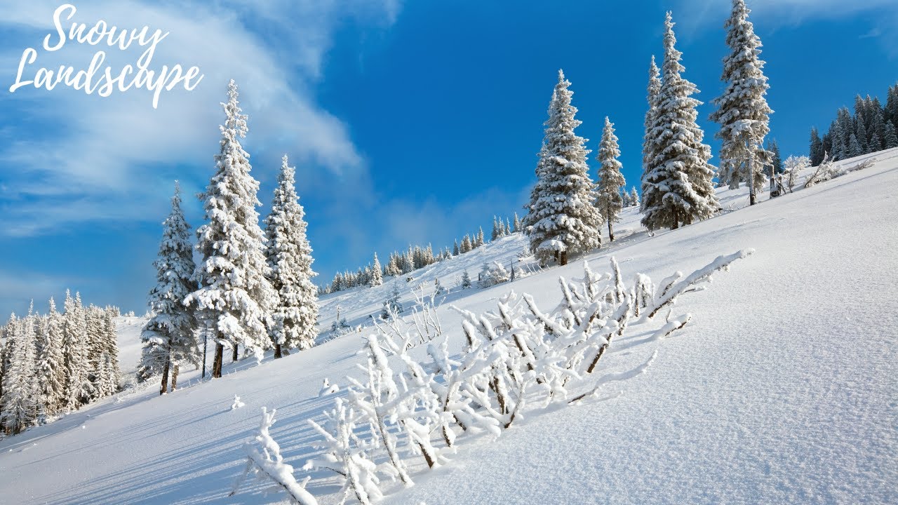 Snowy Landscape | Soothing | Relaxing | Dreamy | Calm | Ethereal