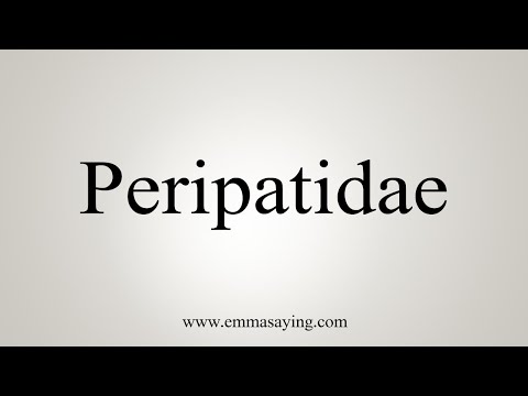 How To Say Peripatidae