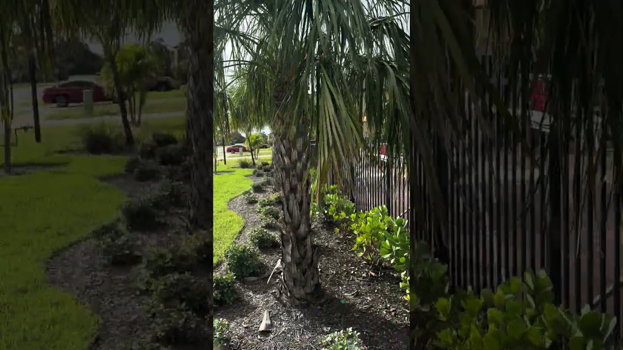 MOTIVATED SELLER!! GREAT LOOKING 2019 COCOA HOME ( COM. POOL), NEW ROOF 376 SNOOK PLACE J2PORTERTEAM