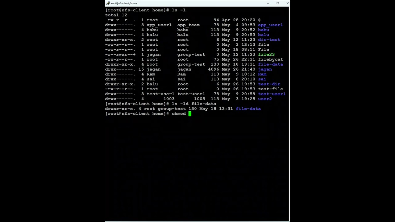 Red Hat Linux - how to use chmod command in linux - How to grant Read, Write, and execute permission