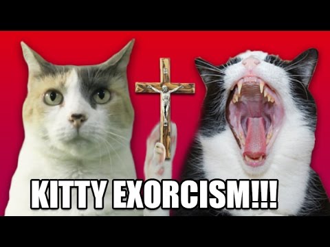 Creationist Cat exorcises da Demons – Godless Engineering