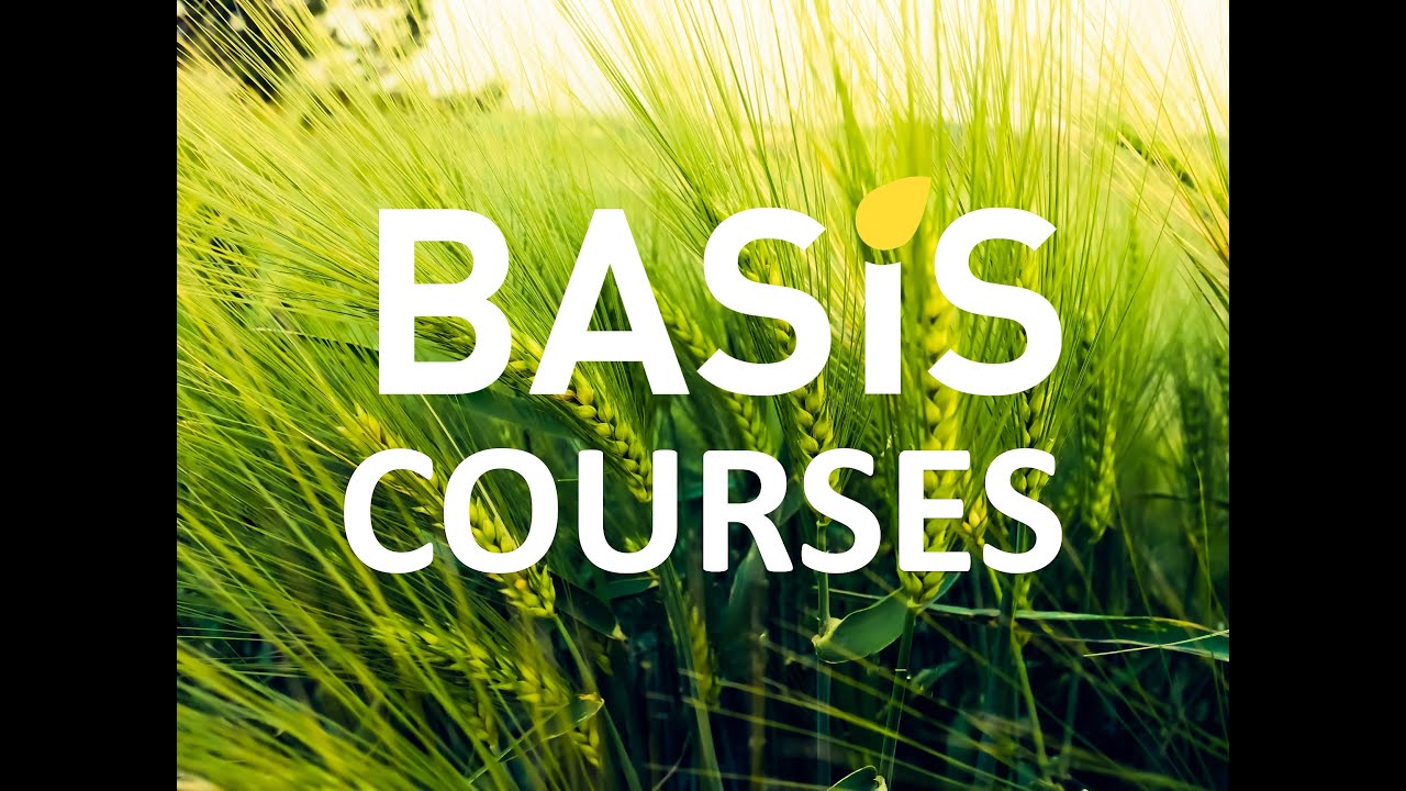 BASIS Courses