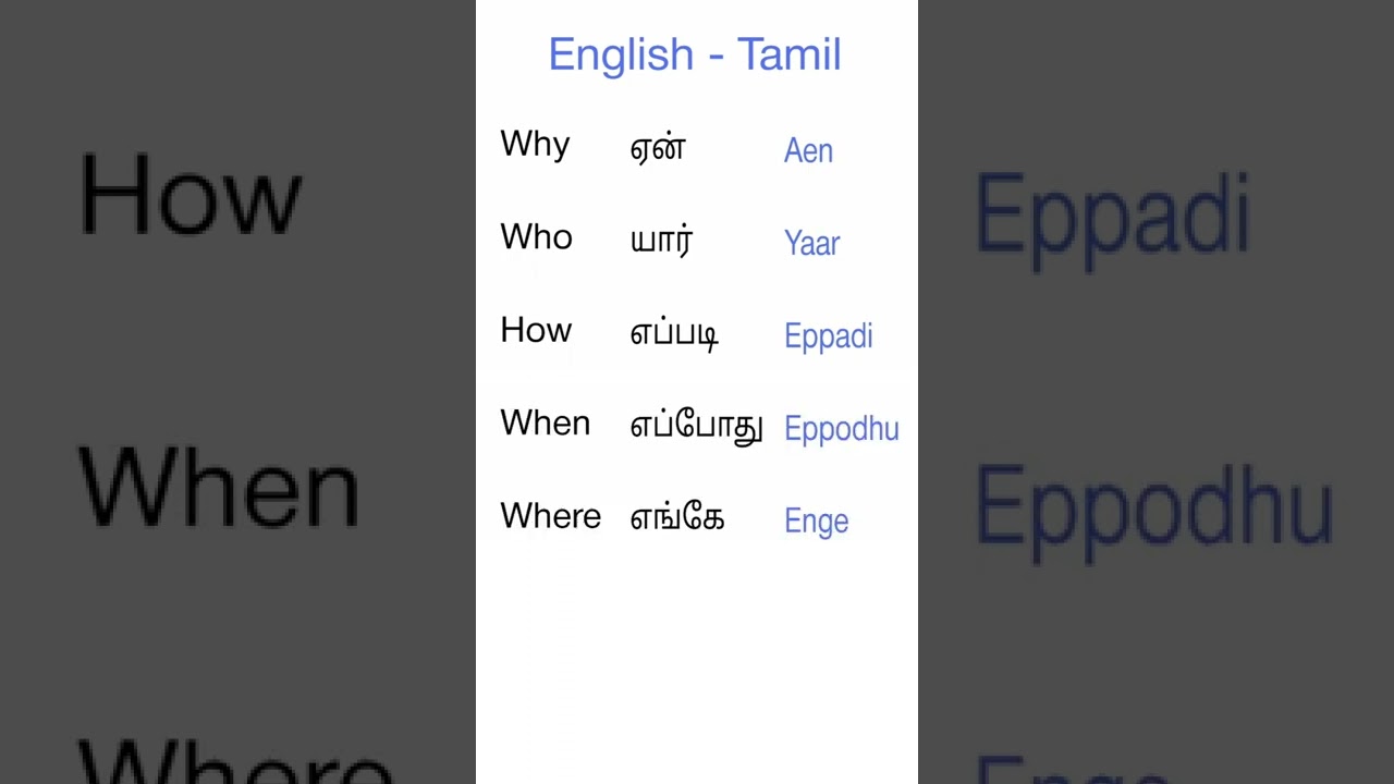 Tamil - English Common Words | Easy Langauge | Learn English Tamil