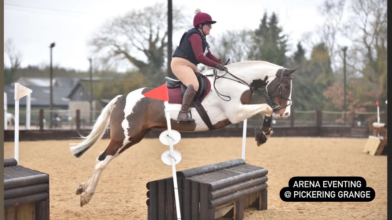 ARENA EVENTING @ Pickering Grange - 10/02/2024 // LOOSECANONJACK