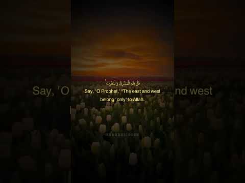 QuranicDeen | Surah Al-Baqarah (Verses 142) | Yasser Al-Dosari