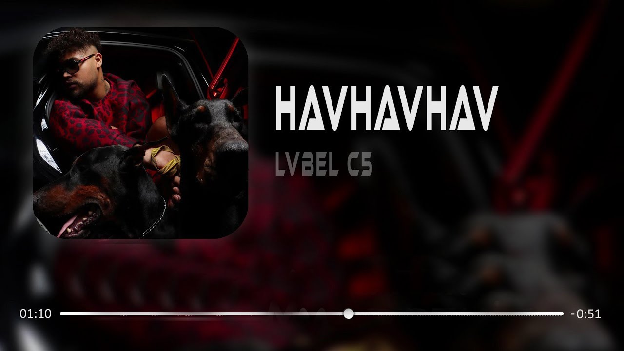 Lyrics & Translations of Hav Hav Hav by Lvbel C5 | Popnable