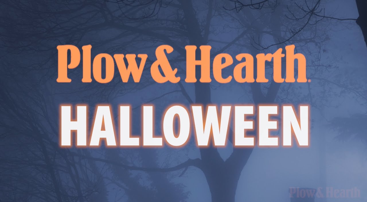 MOTION - Andrea Dameron | Photo Stylist + Designer