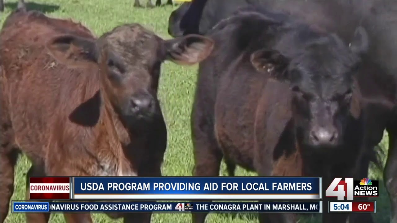 USDA program provides aid for local farmers