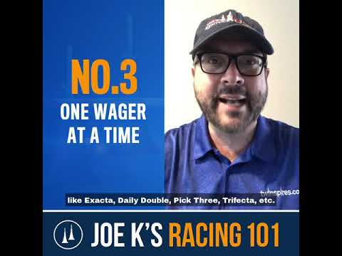 Horse Racing 101 - WIN PLACE SHOW