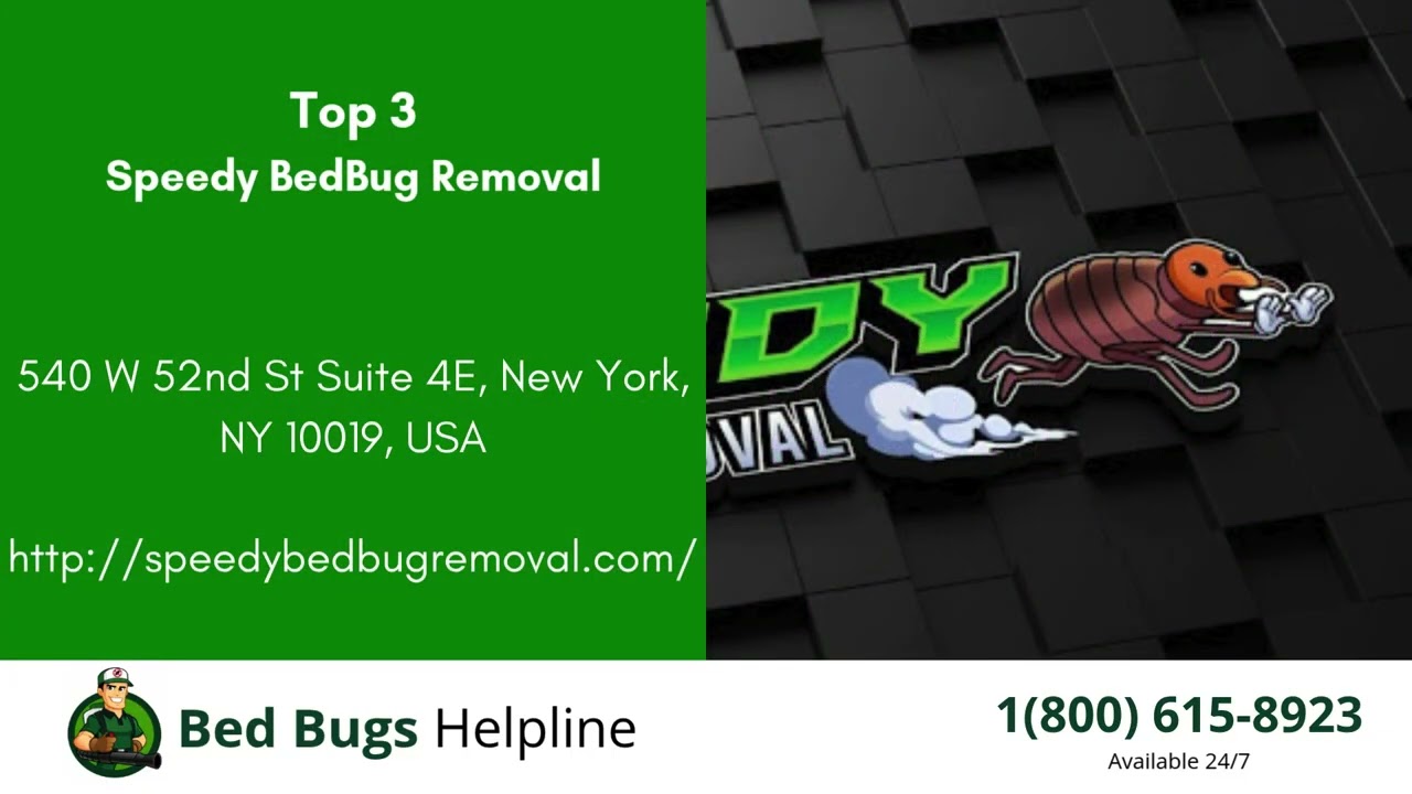Top 3 Bed Bug Removal in Kettering