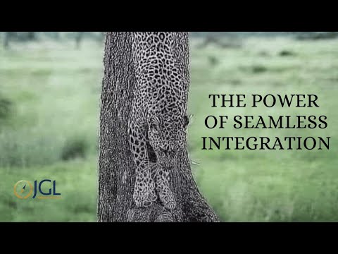 The Power of Seamless Integration