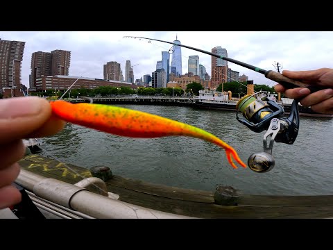 I Went Fishing In NYC