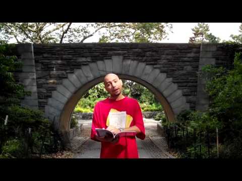 THE BIRDS & THE BEES STORY: WHERE DO BABIES COME FROM? NURSERY RHYME