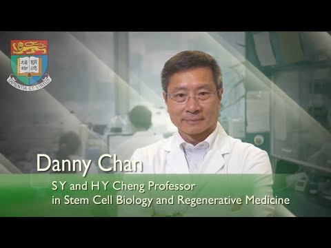 S Y and H Y Cheng Professorship in Stem Cell Biology and Regenerative Medicine