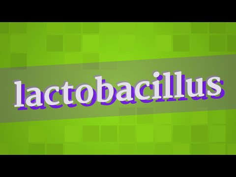 LACTOBACILLUS pronunciation • How to pronounce LACTOBACILLUS