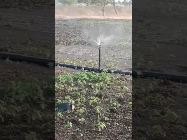 Mini sprinkler - Plastic Winkler Sprinkler Trader - Wholesaler ...