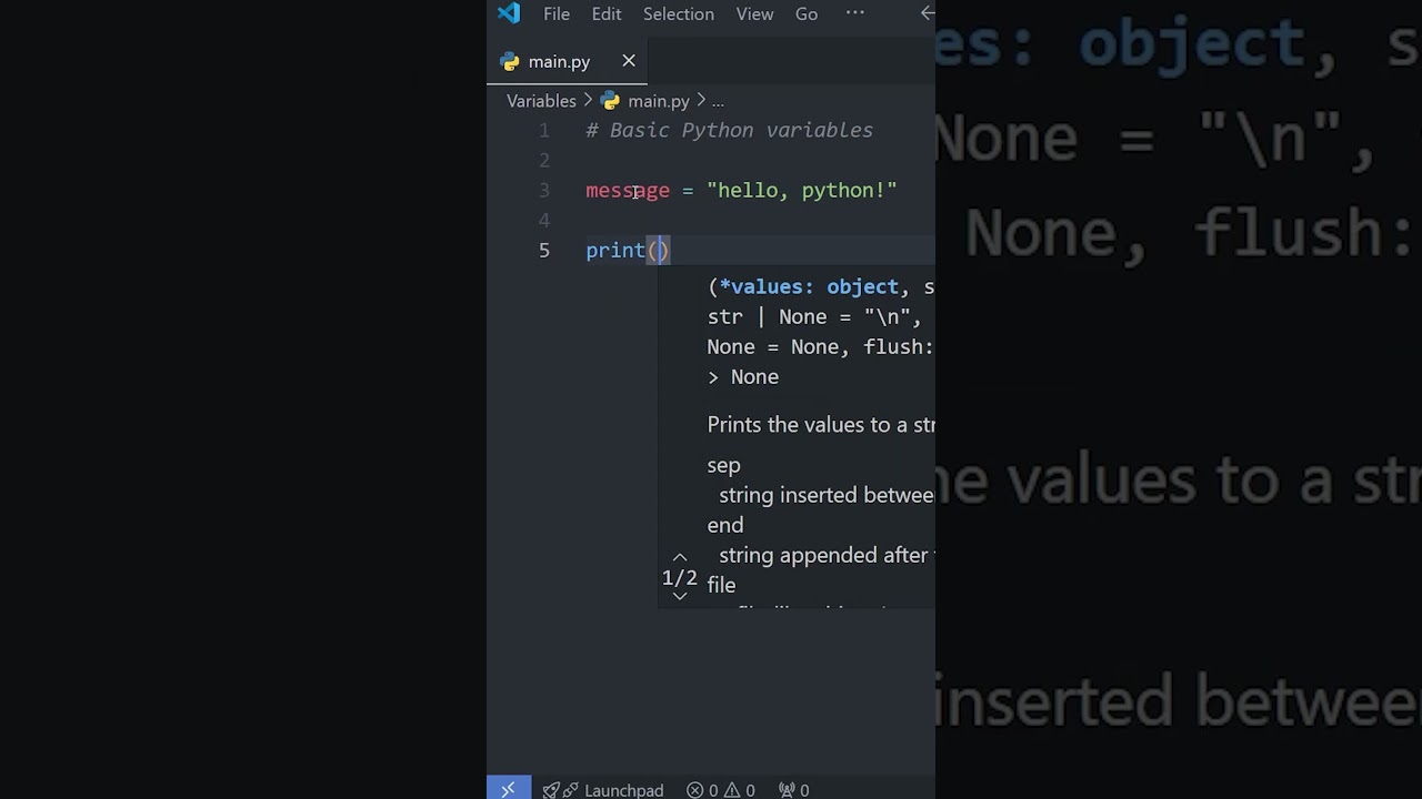 Python Basics: VARIABLES in Under a Minute! 🐍