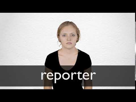 REPORTER——含义、同义词和翻译| 柯林斯英语词典资源