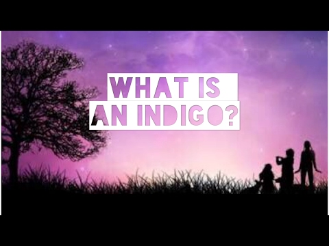 WHAT IS AN INDIGO?