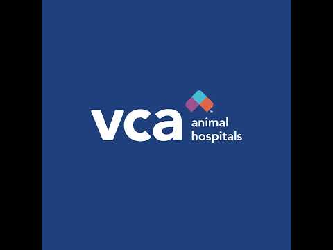 Clinical Studies in Veterinary Medicine: Dr. Phil Bergman and Talon McKee