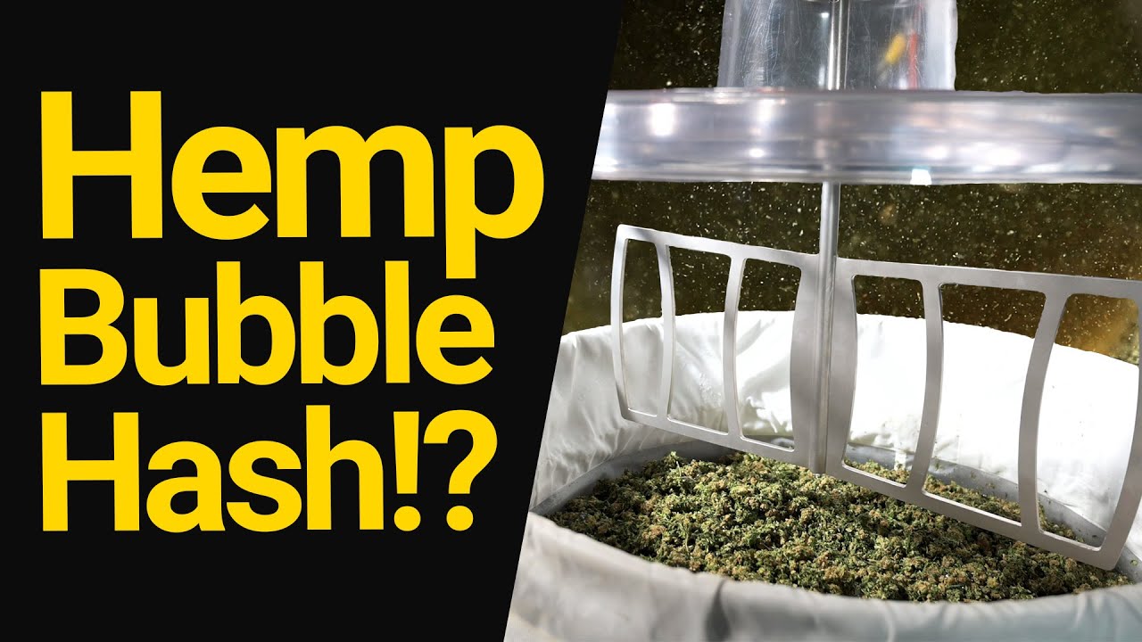 Hemp Bubble (Ice Water) Hash!?