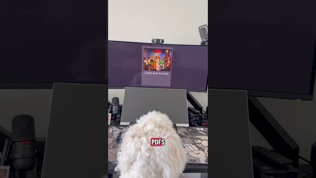 Is this the BEST PDF tool? #Tech #TechTips #SwifDoo