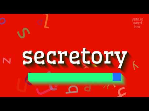 How to say "secretory"! (High Quality Voices)