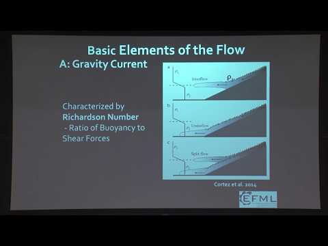 C. C. Mei Distinguished Speaker Series Spring 2019: Prof. Jeffrey Koseff