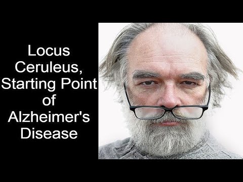 Locus Coeruleus, Starting Point of Alzheimer's Disease