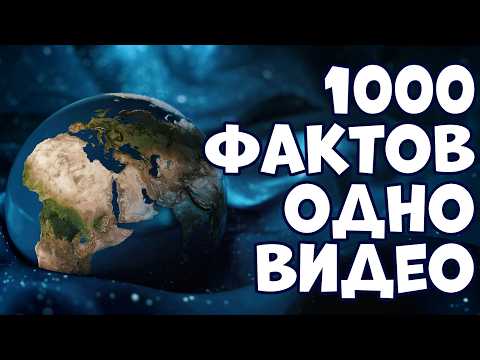 1000 ИНТЕРЕСНЫХ ФАКТОВ В ОДНОМ ВИДЕО