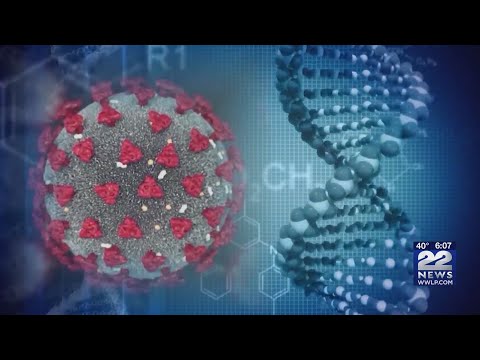 CDC updates vaccine recommendations for high-risk persons