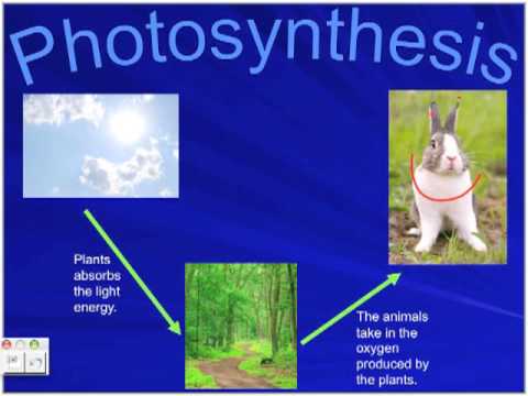 Photosynthesis and Cellular Respiration by Phillipe and Angela