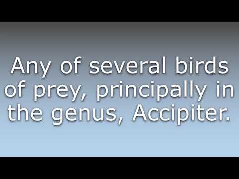 What does Goshawk mean?