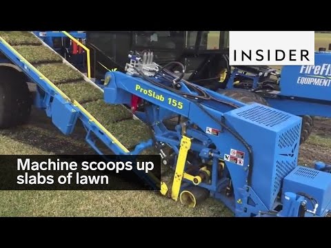 This machine scoops up perfect slabs of lawn