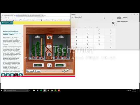 Instructions for Virtual Lab: Light & Plant Growth